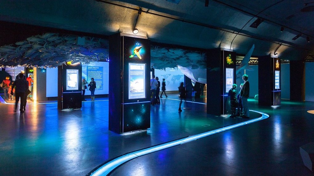 Hydropolis we Wrocławiu - atrakcje