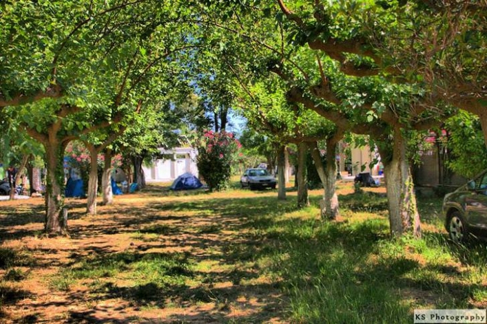 Kemping - Camping Tholo Beach