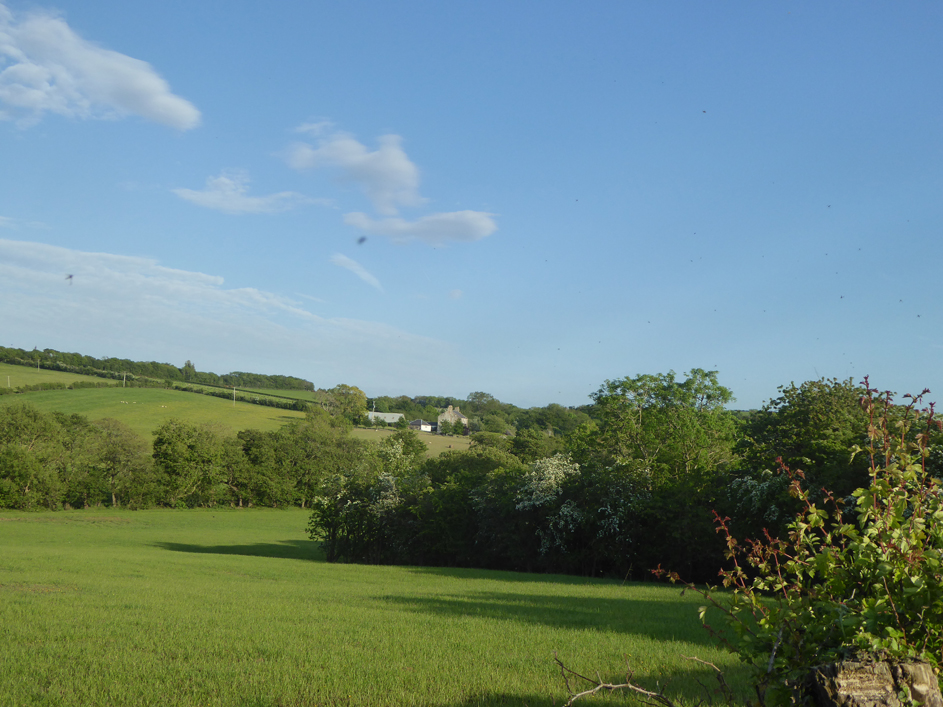 Kemping - Croft Head Caravan Park